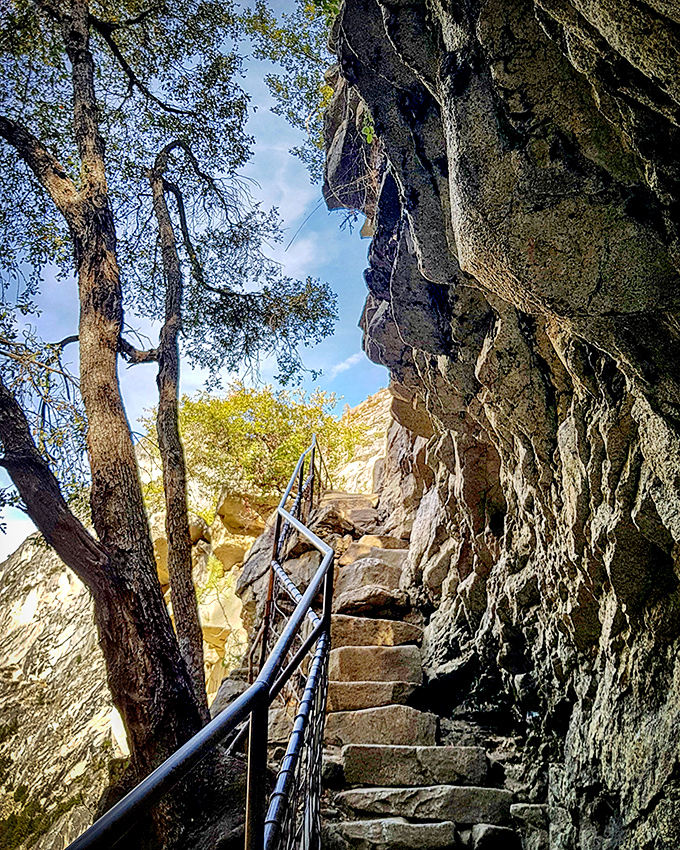 Stone steps and handrails that prove even Mother Nature occasionally needs a little engineering help with accessibility.