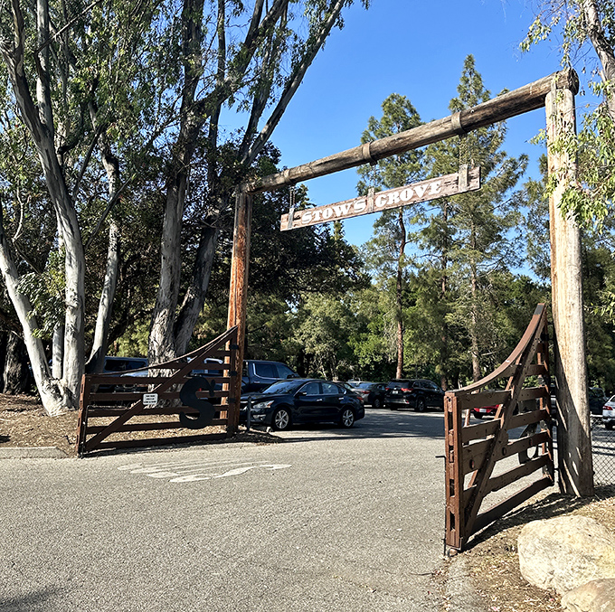 Stow Grove Park welcomes visitors through a rustic entrance that feels like the gateway to a secret woodland retreat hidden within suburban California.