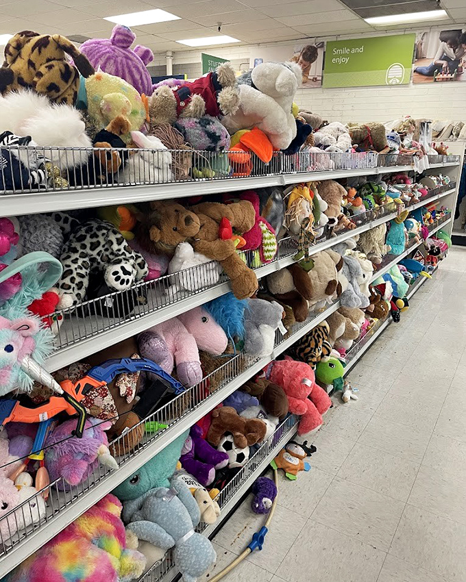 The stuffed animal section brings joy to kids and collectors alike. These gently-loved plush friends are waiting for their next cuddle at fraction-of-retail prices.