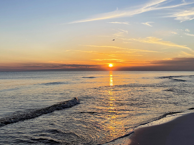 Sunset chemistry: when the sun kisses the Gulf goodnight and the sky blushes in fifty shades of spectacular. No filter necessary.