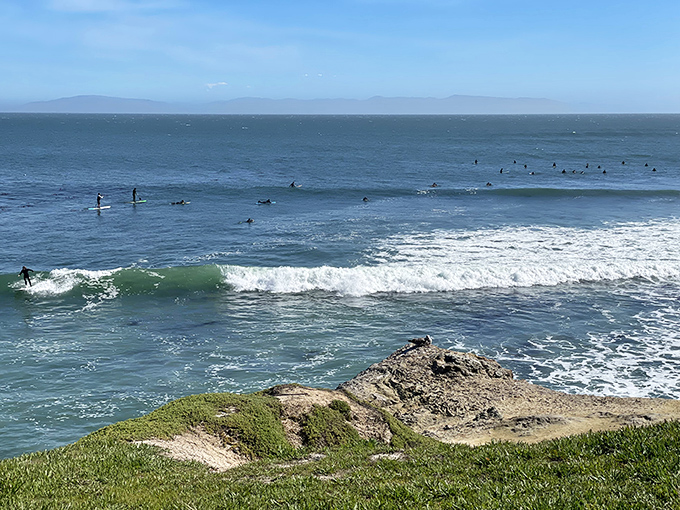 Surfers read the ocean like a favorite book, finding their perfect wave while the rest of us just enjoy the show from shore.