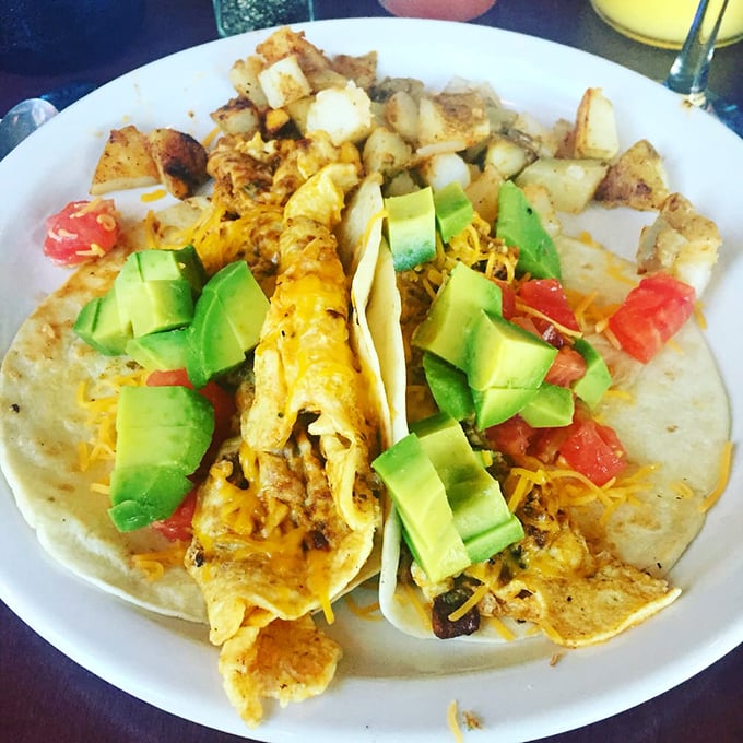 Breakfast tacos that mean business! Perfectly scrambled eggs, melted cheddar, and fresh avocado create a morning fiesta worth waking up for.