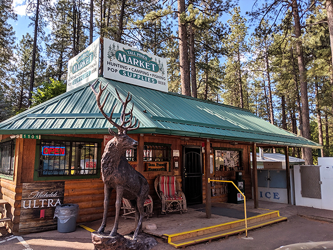 Tall Pines Market welcomes you with a life-sized elk statue that seems to say, "Yes, we have everything you forgot to pack for your camping trip."