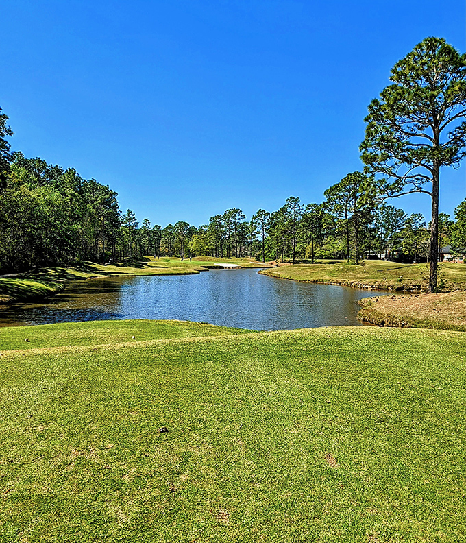 Pine Forest's serene lake and manicured greens offer golfers the perfect excuse to spend four hours "communing with nature" while hunting for wayward balls.