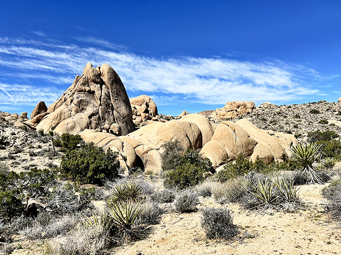 A roadside restaurant that promises the best meal you'll find in a 50-mile radius of absolutely nowhere. Desert dining at its finest.