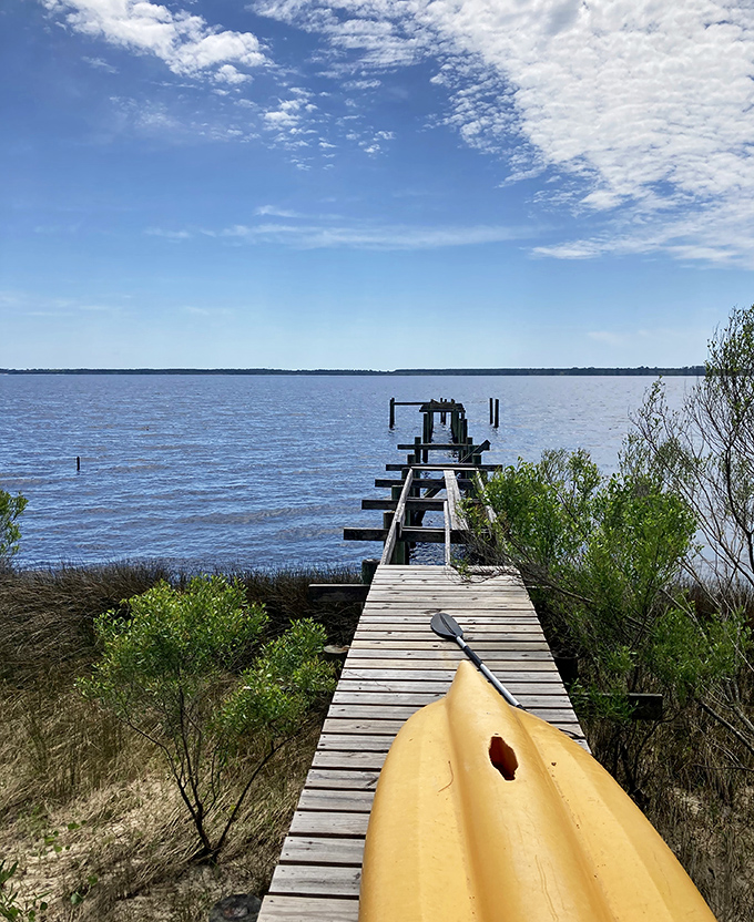 A private dock stretches toward possibility&mdash;the perfect launching point for kayaks, fishing lines, and daydreams across Ochlockonee Bay's glassy waters.