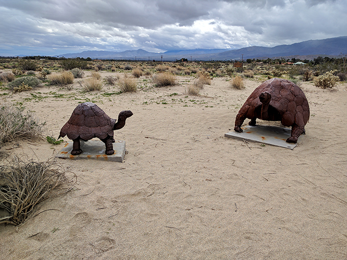 Two tortoises engaged in what might be the slowest race in California—they've been at it for years.