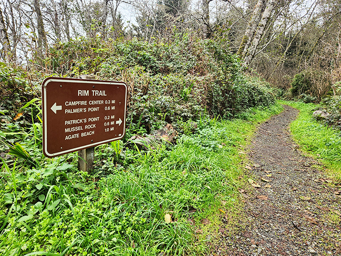 Trail markers that promise adventure without requiring you to download yet another app to find your way.