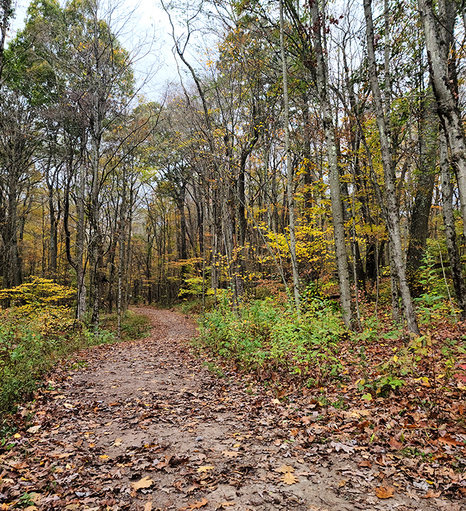 Forest trails wind through autumn colors that put New England postcards to shame.