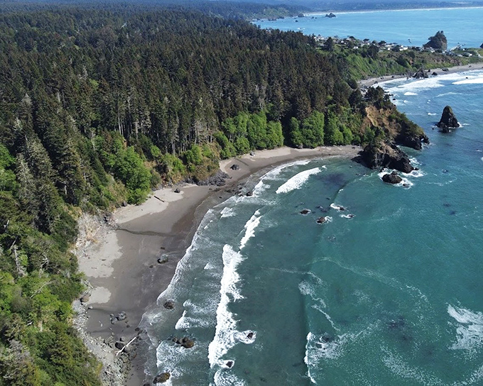 Trinidad State Beach curves like nature's perfect smile, where redwoods meet shoreline in a collision of ecosystems that screams "Pure California."