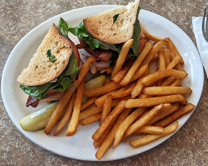 A proper turkey club doesn't need reinvention, just execution. Those golden fries are the supporting actors who steal every scene.