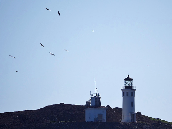 Birds wheel overhead as if paying homage to this historic beacon, their aerial ballet adding movement to the island's serene landscape.