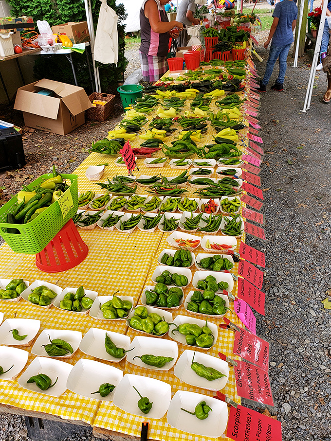 Nature's candy store! These perfectly arranged peppers and vegetables create a rainbow of farm-fresh possibilities that would make any chef swoon.