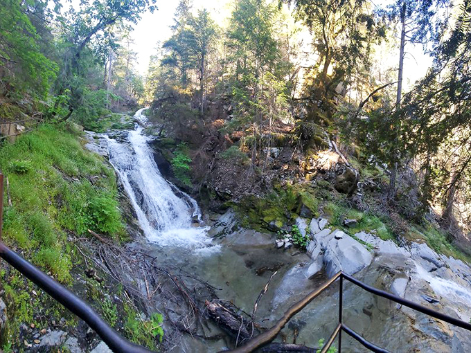 Looking down from the viewing platform offers perspective on nature's power. The falls command attention like a Hollywood headliner.