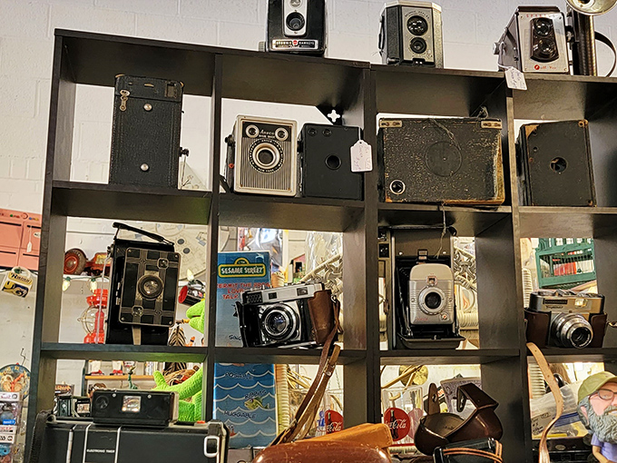 Vintage cameras that captured family memories long before selfies existed. Each one tells a story &ndash; no filters needed.