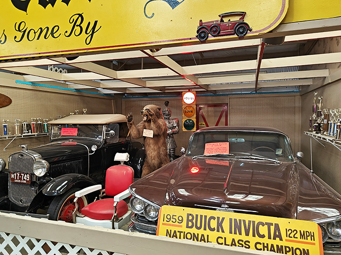 Automotive history on display! This vintage Buick Invicta shares space with a classic Ford and what appears to be... is that a bear in a barber chair?