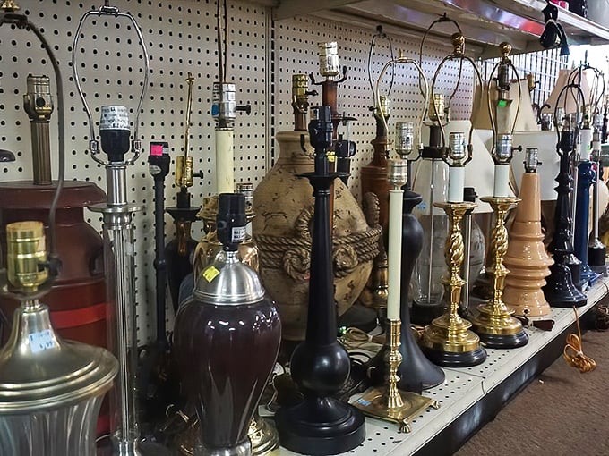 A lineup of lamps that spans decades of design, from brass classics to quirky statement pieces, each waiting to illuminate someone's reading nook.