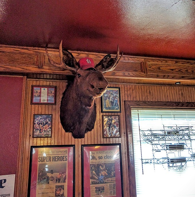 The moose sporting Cardinals gear watches over diners like a benevolent woodland deity who's also a serious baseball fan.