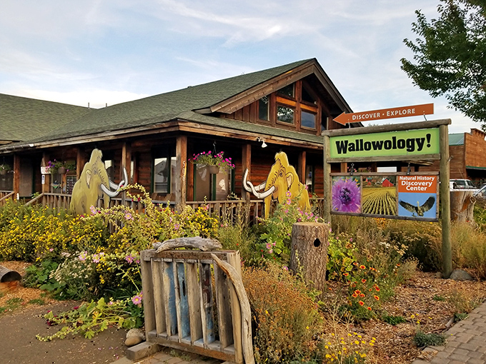 Wallowology Discovery Center&mdash;where mammoth cutouts guard the entrance to natural history lessons you'll actually remember. Science with personality!
