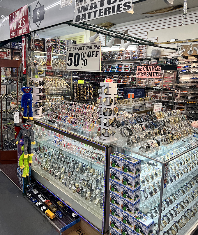 Time pieces gleam behind glass like precious treasures, offering punctuality with a side of serious style statements.