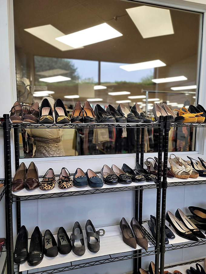 Shoe lovers, rejoice! From practical flats to statement heels, these racks offer footwear fantasies at prices that won't make your wallet weep.