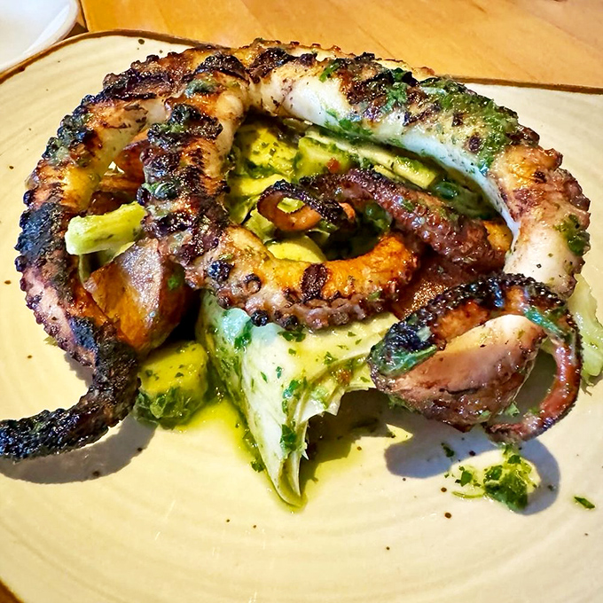 This octopus didn't just get cooked &ndash; it got a Mediterranean spa treatment before being perfectly charred and plated like modern art.