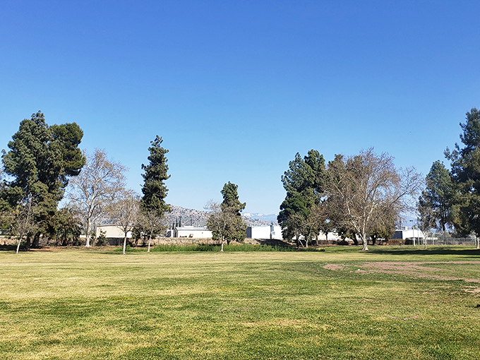 Green space that breathes: Zalud Park offers room to stretch, play, and reconnect with the simple pleasure of grass beneath your feet.