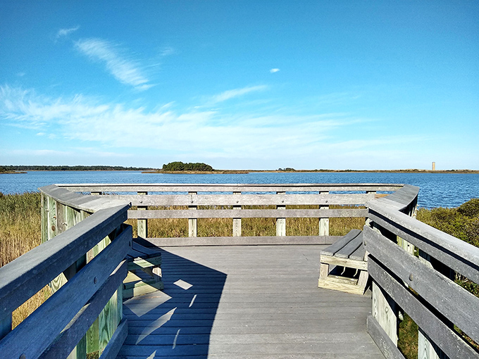 The observation deck offers panoramic wetland views that would make Ansel Adams reach for his camera. Nature's infinity pool stretches before you.