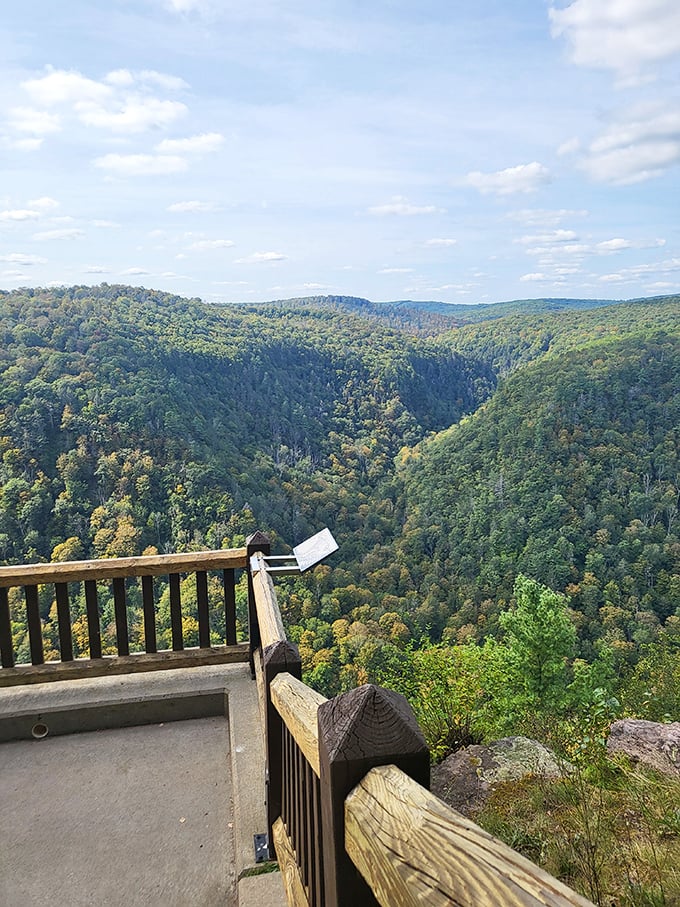 Nature's balcony offers front-row seats to a view that makes smartphone cameras work overtime and hearts skip beats.