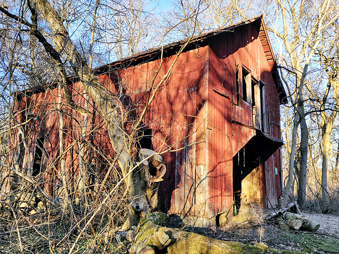 This weathered barn has more character than most Hollywood actors. Its rustic charm tells the story of Maryland's agricultural heritage without saying a word.