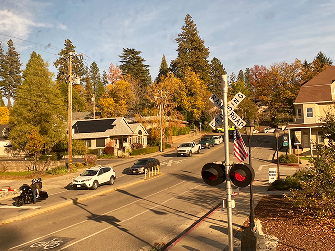 Fall paints Colfax in golden hues, transforming ordinary street crossings into Norman Rockwell scenes that make you slow down and notice.
