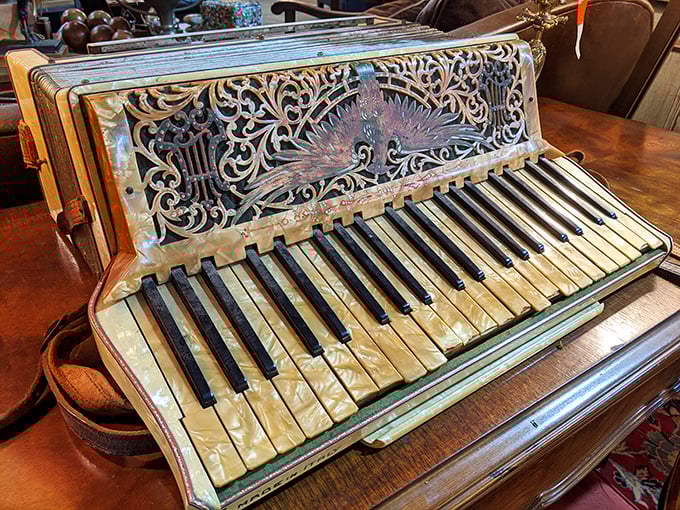 This accordion has squeezed out more melodies than you can imagine. The yellowed keys tell tales of polka parties and folk songs from another century.
