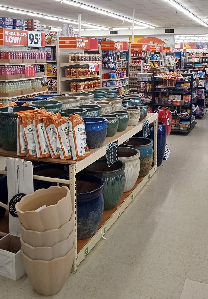 "Whoa That's Low!" signs punctuate aisles of colorful planters &ndash; garden ambitions bloom year-round regardless of Ohio's weather patterns outside.