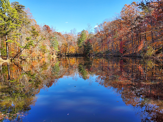 Fall's masterpiece reflected in perfect symmetry. Nature showing off its color palette like an artist who knows exactly what they're doing.