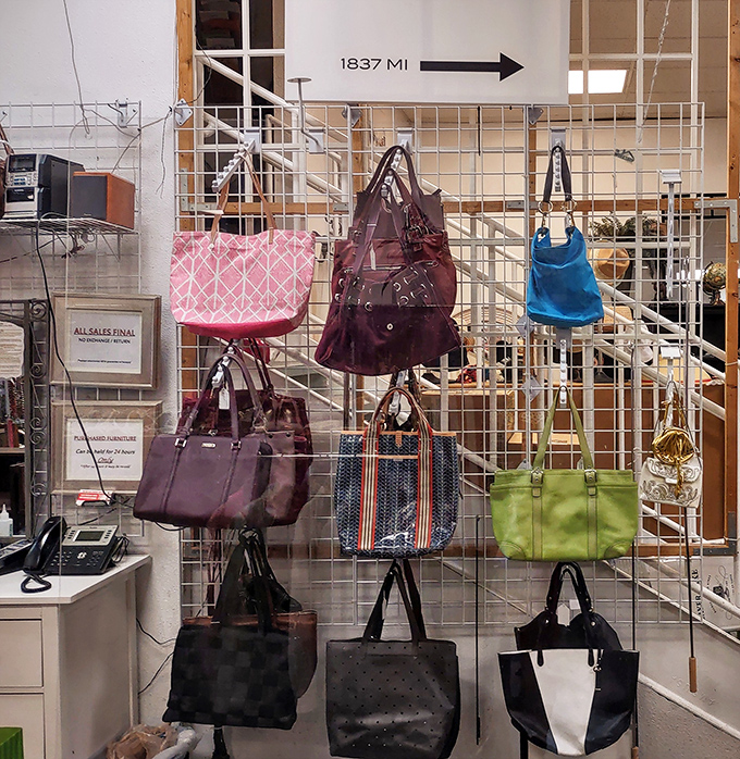 Handbags of every hue hang like colorful fruit, ripe for the picking and ready to complement your next outfit adventure.