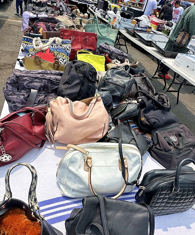 Designer bags mingle with everyday carriers, creating purse paradise where style meets sensible spending limits perfectly.