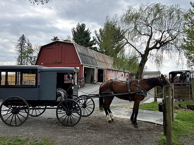 Horse parking only! This traditional barn and buggy scene is what happens when transportation runs on oats instead of octane.