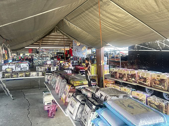 The bedding booth: where dreams and discount comforters meet under the watchful eye of vendors who know thread counts matter even at flea market prices.