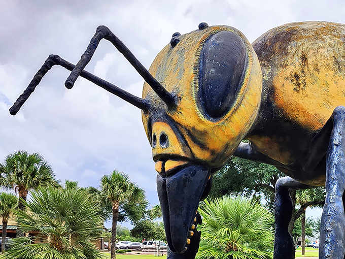 Up close with the bee's antennae. These sensory appendages seem poised to detect your approach from across the park.