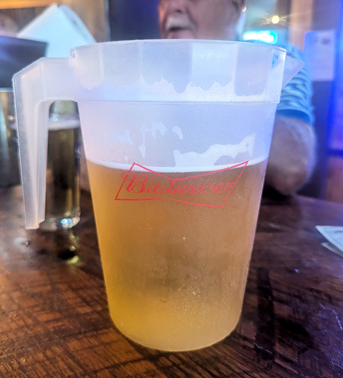 A pitcher of golden beer catching the light just right—like liquid sunshine after a long day. Pennsylvania knows how to pour.