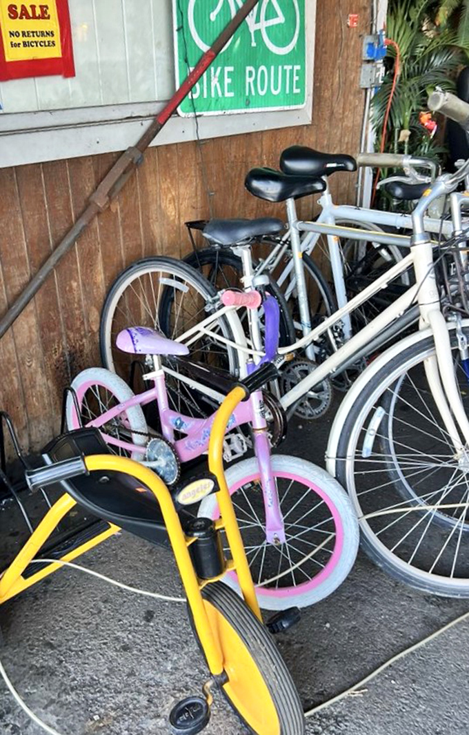 Bicycles in every size and color stand ready for new adventures. That pink kid's bike might just be someone's first taste of freedom.