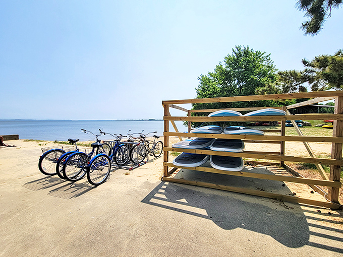 Transportation options for land and sea explorers. These bikes and boards promise adventures at whatever pace your heart desires.