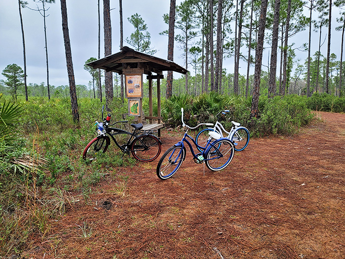 Bicycles parked at a trail junction&mdash;proof that sometimes the best horsepower comes from your own two legs.