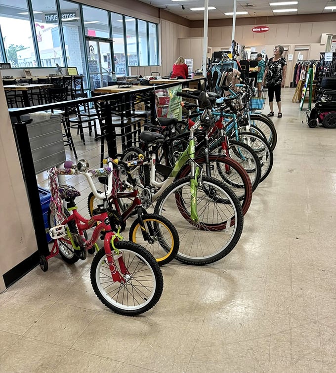 From first bikes with training wheels to adult models ready for the open road&mdash;transportation solutions that won't deflate your bank account.