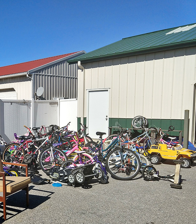 Bicycle heaven! From kids' first rides to adult cruisers, these wheels are ready to roll into new adventures.