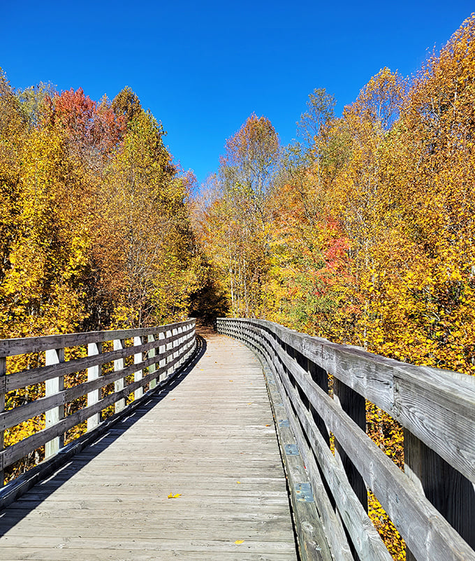The boardwalk beckons with promises of leisurely strolls and conversations that meander like the path.