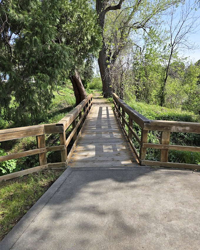 The boardwalk invites exploration, a wooden ribbon guiding visitors through a landscape that feels suspended in time.