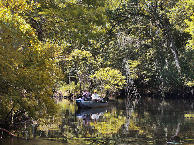 Gliding through cypress-lined waterways where reflections create mirror worlds and time slows to the pace of a paddle stroke.