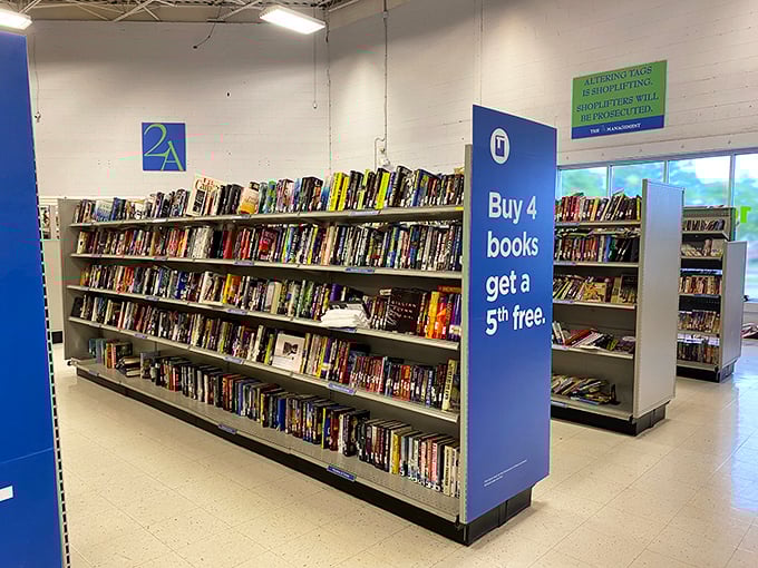 Books create literary landscapes where romance novels mingle with cookbooks in delightful bibliographic chaos.