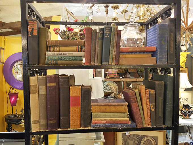 Leather-bound wisdom awaits new shelves. These vintage books aren't just reading material&mdash;they're time capsules with stories beyond their pages.